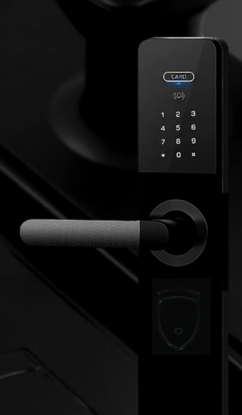 Lora Smart Door Lock (Bluetooth) - THE MOST COMPLETE LoRaWAN IOT SENSORS