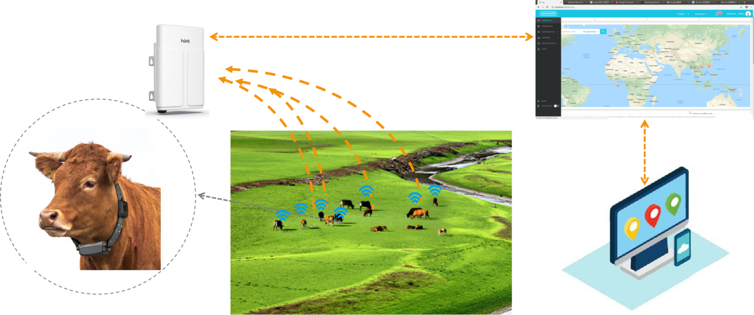 Smart Cattle Raising - THE MOST COMPLETE LoRaWAN IOT SENSORS