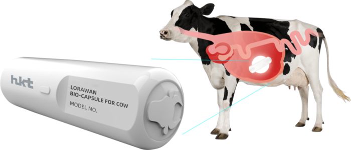 Bio-capsule For Cow - THE MOST COMPLETE LoRaWAN IOT SENSORS