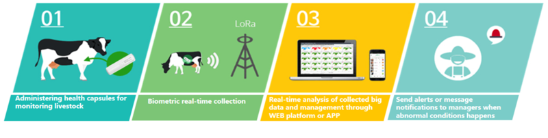 Bio Capsule For Cow The Most Complete Lorawan Iot Sensors